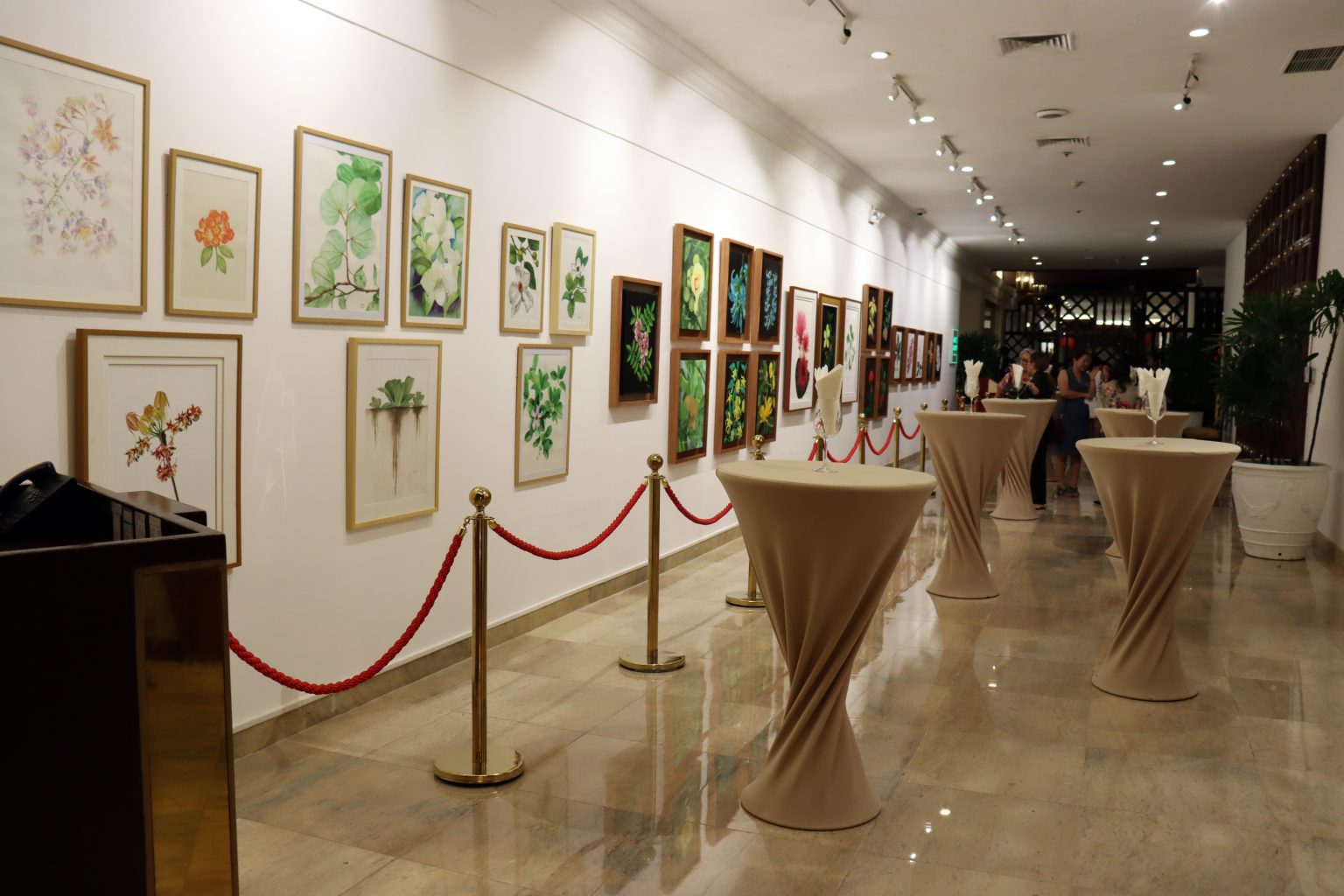 Botanical art exhibit on Philippine Flora in Toponyms unveiled ...