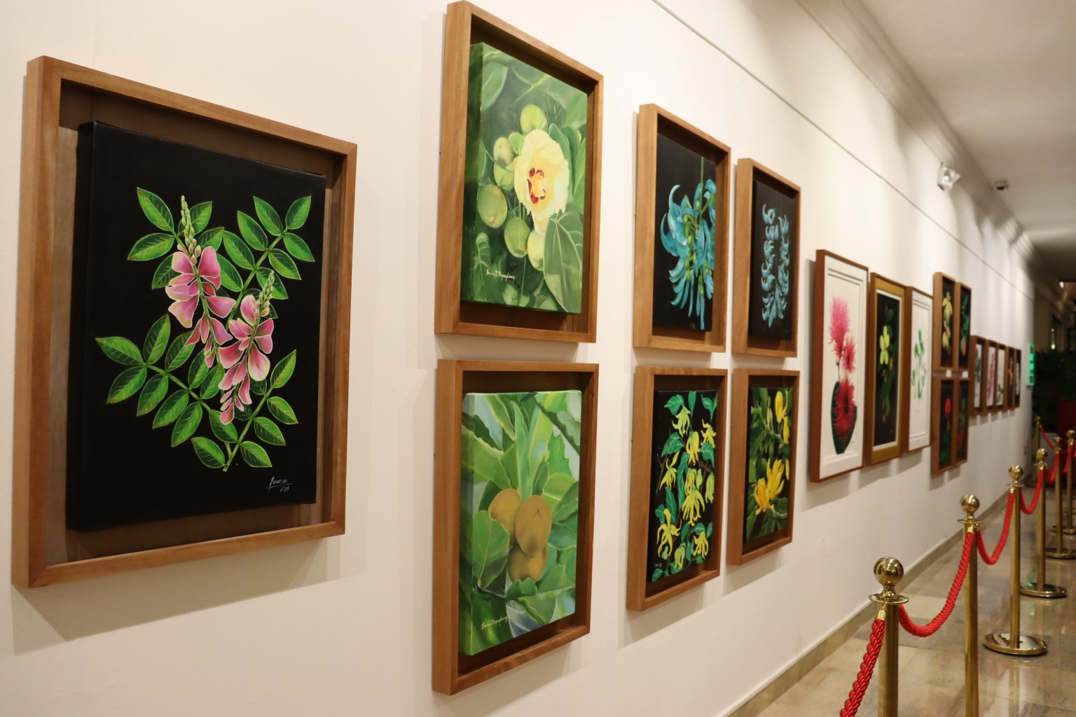Botanical art exhibit on Philippine Flora in Toponyms unveiled ...